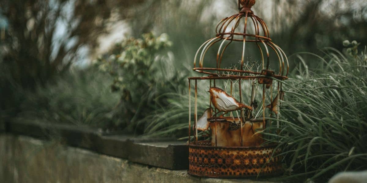 Caged Bird by Maya Angelou - Poem Analysis