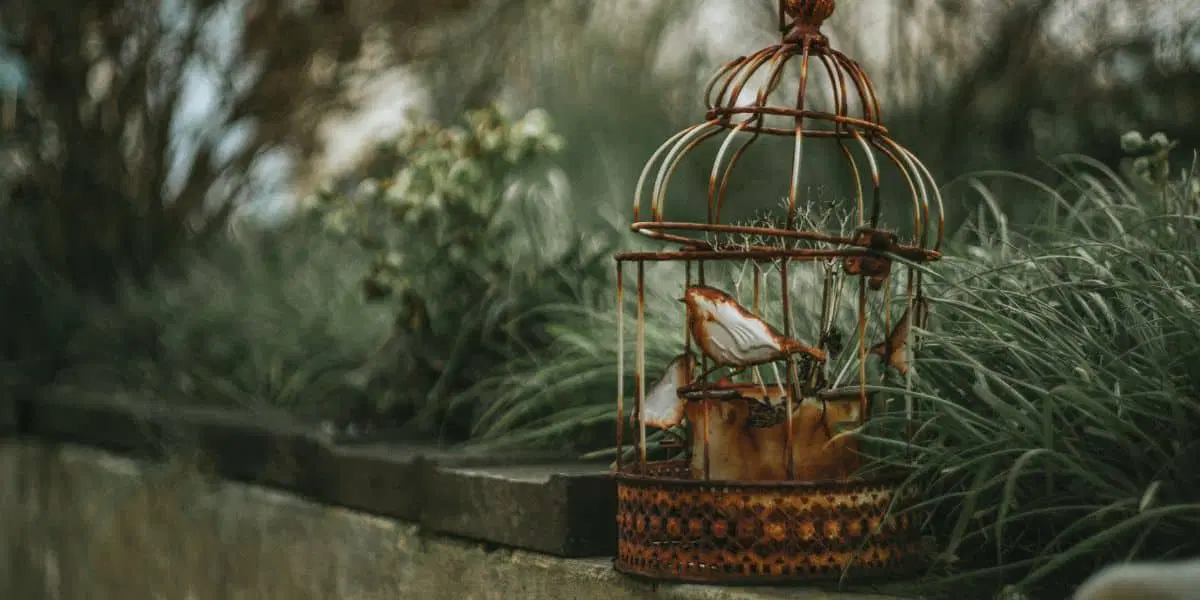 Caged Bird by Maya Angelou - Poem Analysis