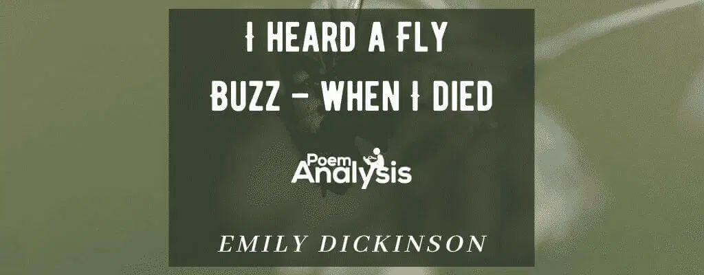I heard a Fly buzz - when I died by Emily Dickinson - Poem Analysis