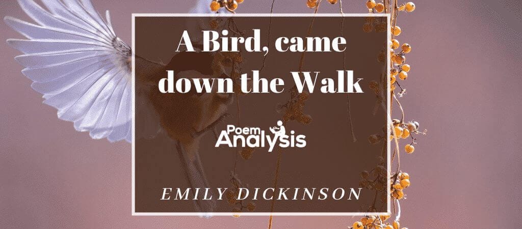 A Bird, came down the Walk by Emily Dickinson - Poem Analysis