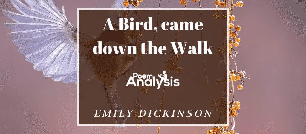A Bird, came down the Walk by Emily Dickinson - Poem Analysis