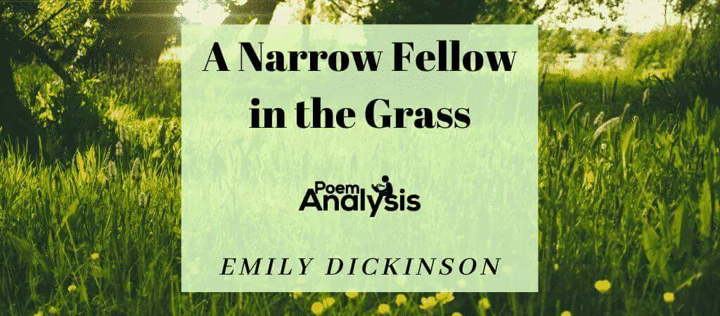 A narrow Fellow in the Grass by Emily Dickinson - Poem Analysis
