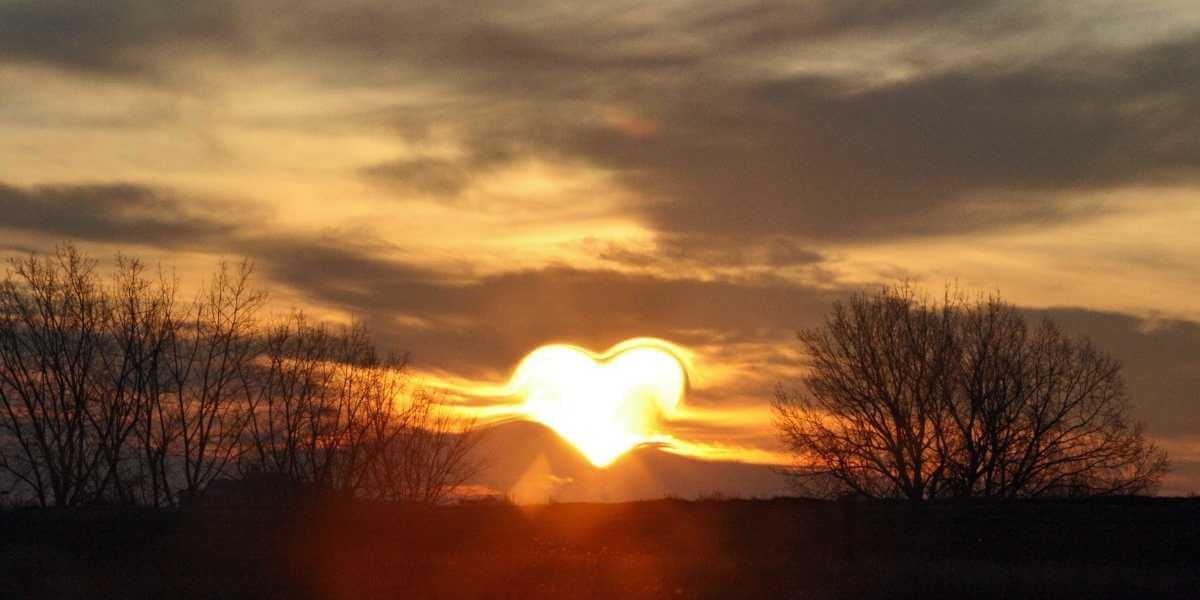 Heart, we will forget him! By Emily Dickinson - Poem Analysis