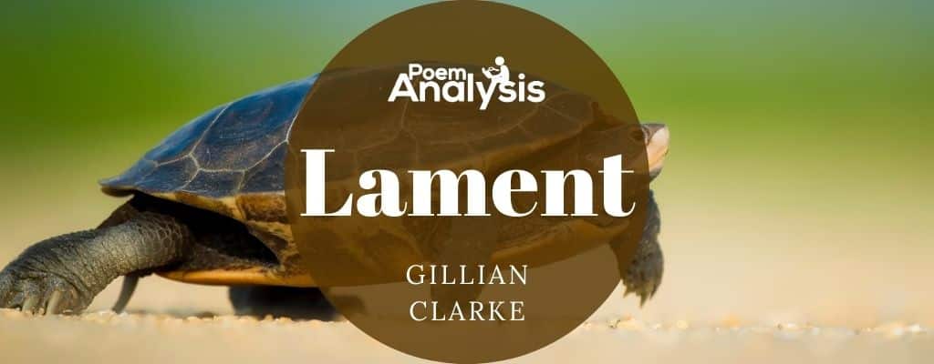 Lament by Gillian Clarke - Poem Analysis