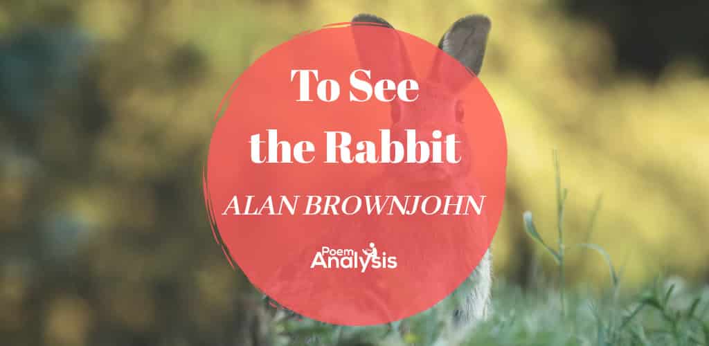 To See the Rabbit by Alan Brownjohn - Poem Analysis