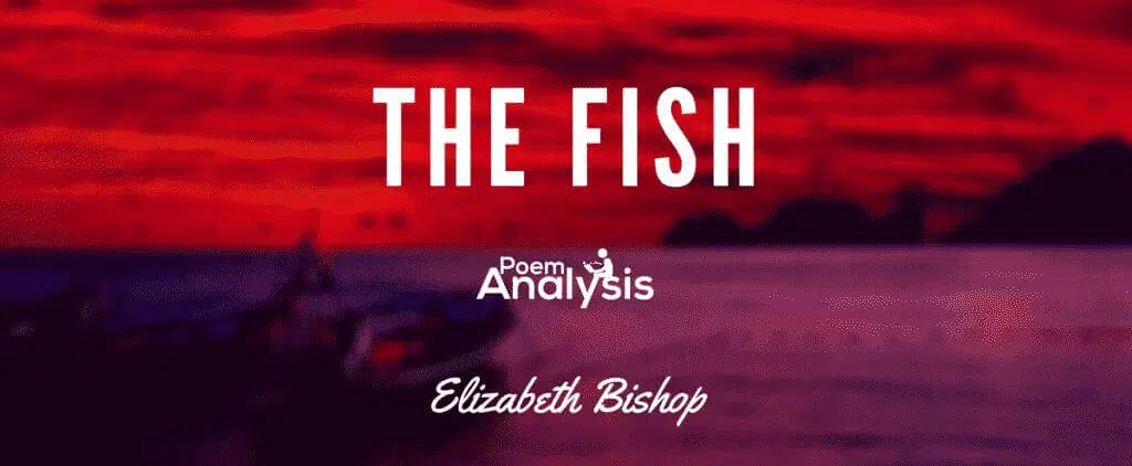 The Fish by Elizabeth Bishop - Poem Analysis