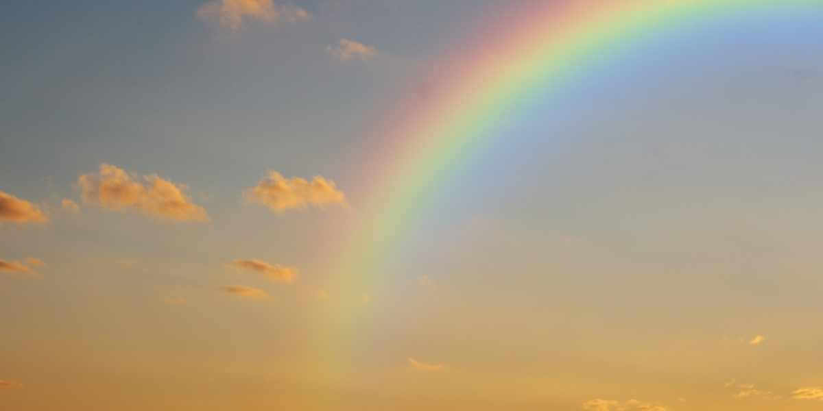 Some Rainbow – coming from the Fair! by Emily Dickinson - Poem Analysis