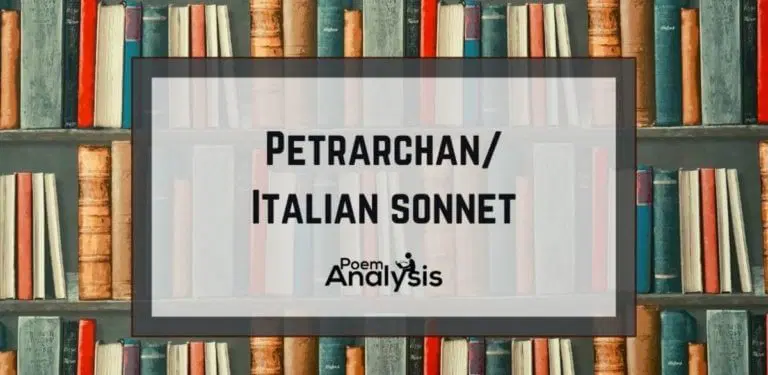 Petrarchan/Italian Sonnet - Definition, Structure and History