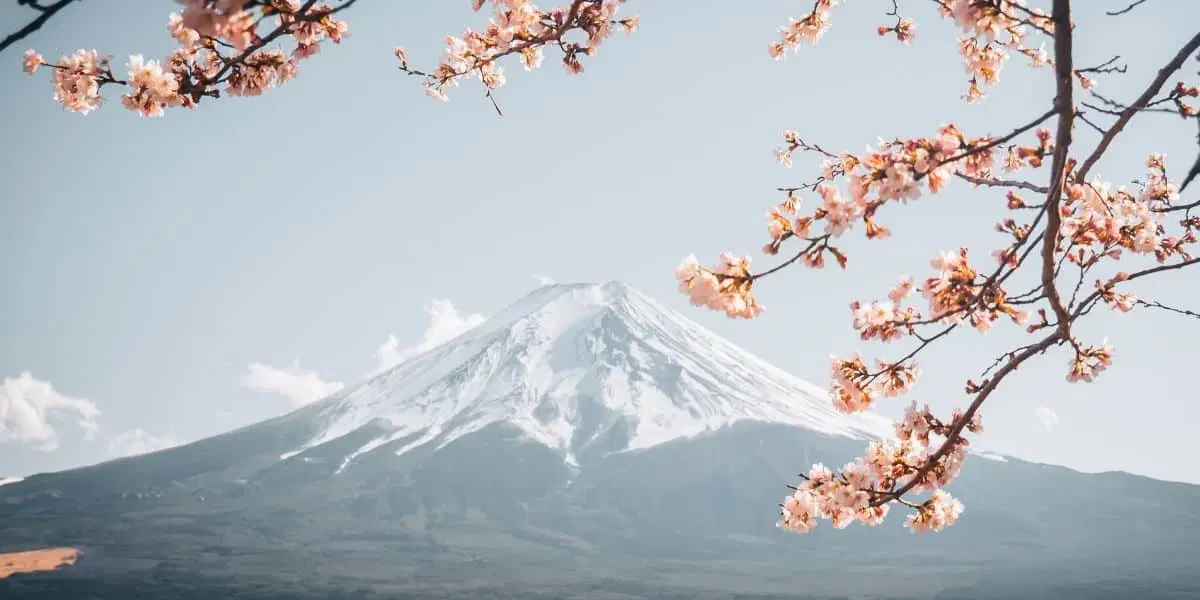 10 Incredible Haiku Poems You Have To Read - Poem Analysis