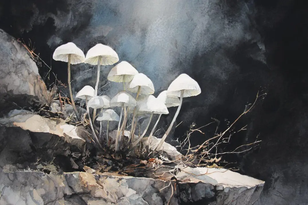 Mushrooms by Sylvia Plath - Poem Analysis