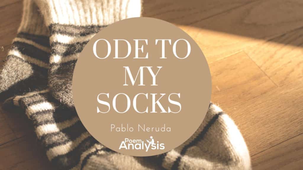 Ode to My Socks by Pablo Neruda - Poem Analysis
