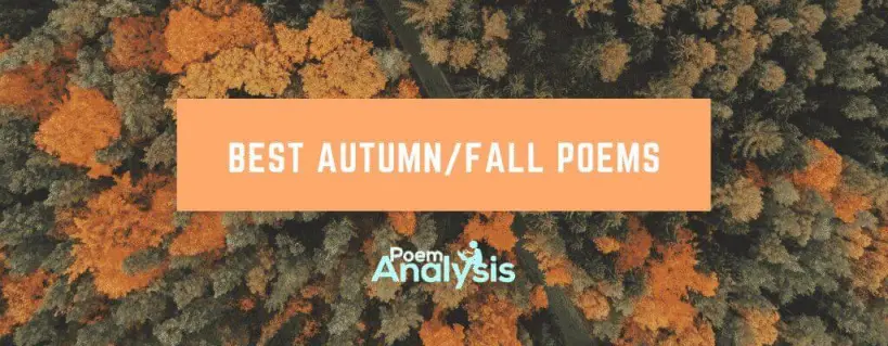 15 of the Best Autumn/Fall Poems Every Poet Lover Must Read