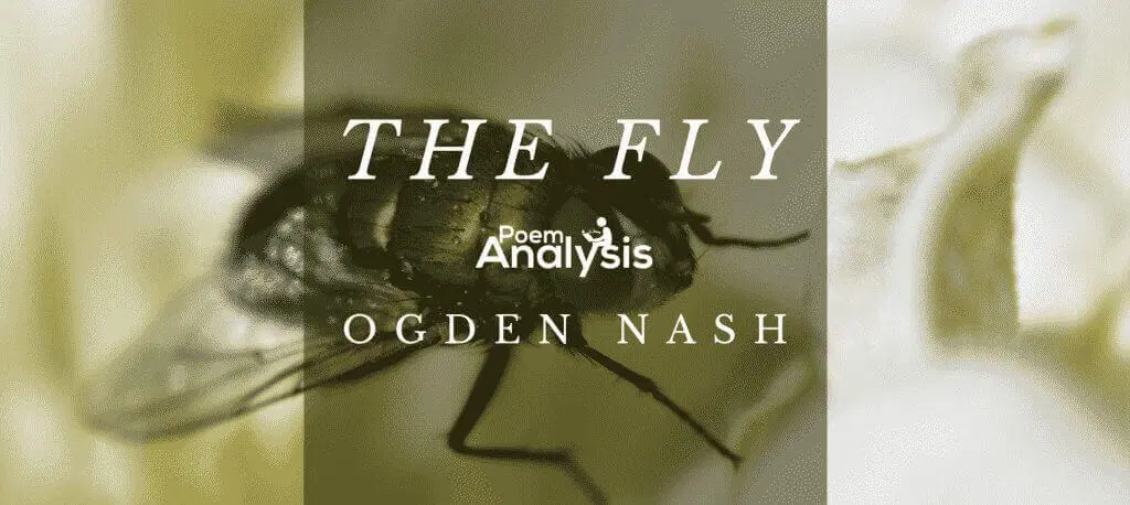 The Fly by Ogden Nash - Poem Analysis