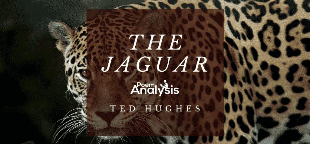 The Jaguar by Ted Hughes - Poem Analysis