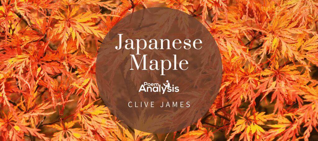 Japanese Maple by Clive James - Poem Analysis