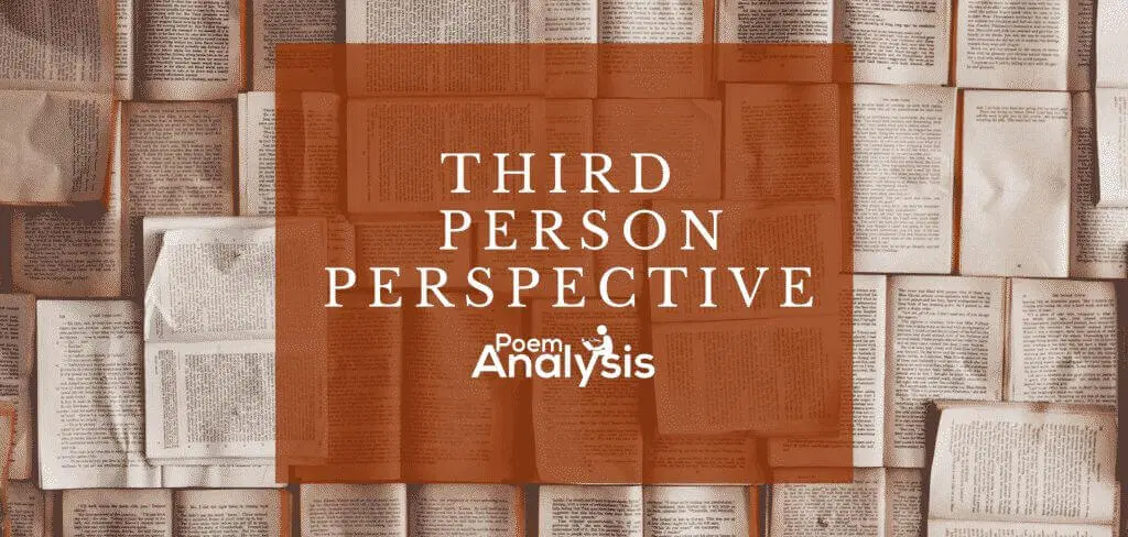 Third Person Point of View - Definition and Examples - Poem Analysis
