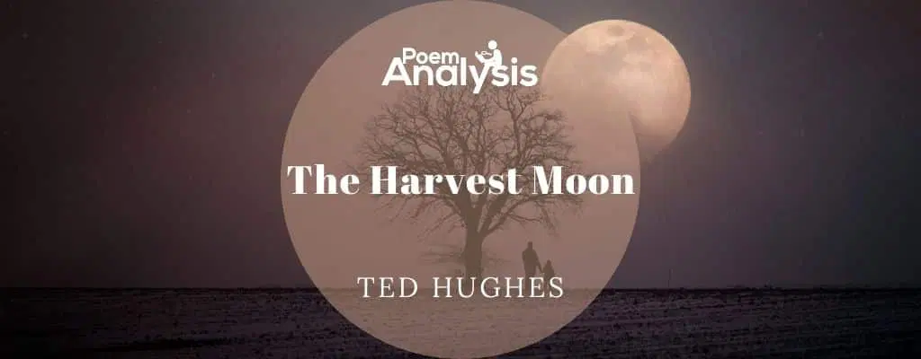 The Harvest Moon by Ted Hughes - Poem Analysis
