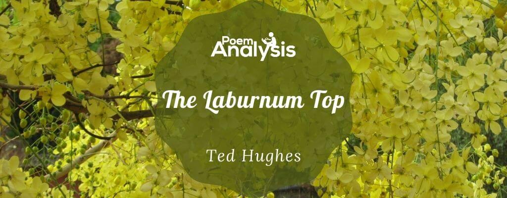 The Laburnum Top by Ted Hughes - Poem Analysis