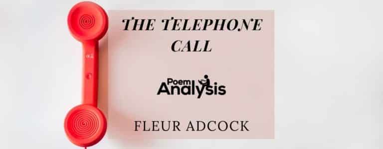 The Telephone Call by Fleur Adcock - Poem Analysis