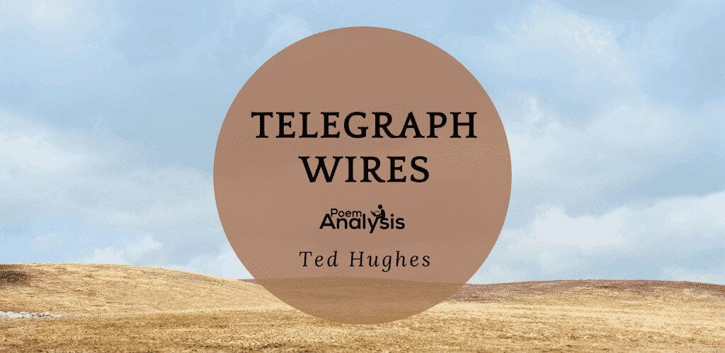 Telegraph Wires by Ted Hughes - Poem Analysis