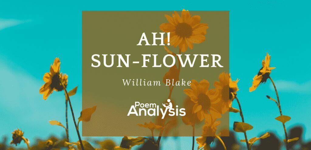 Ah! Sun-flower by William Blake - Poem Analysis