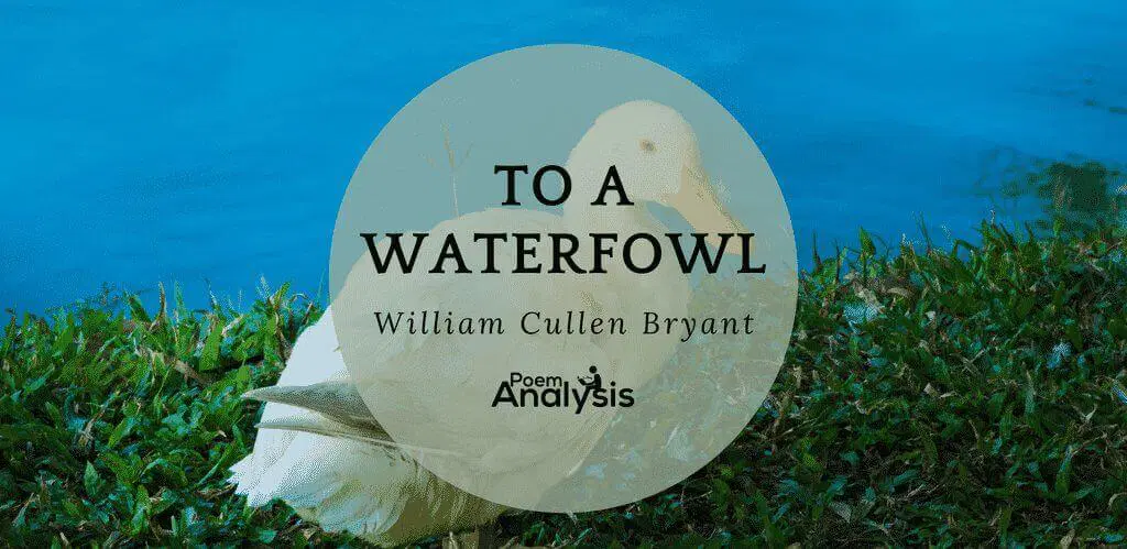 To a Waterfowl by William Cullen Bryant - Poem Analysis