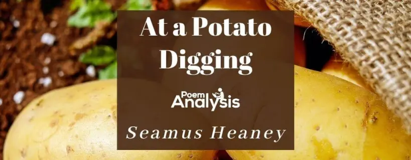 At a Potato Digging by Seamus Heaney - Poem Analysis