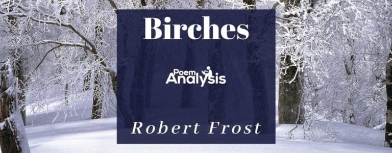 Birches by Robert Frost - Poem Analysis