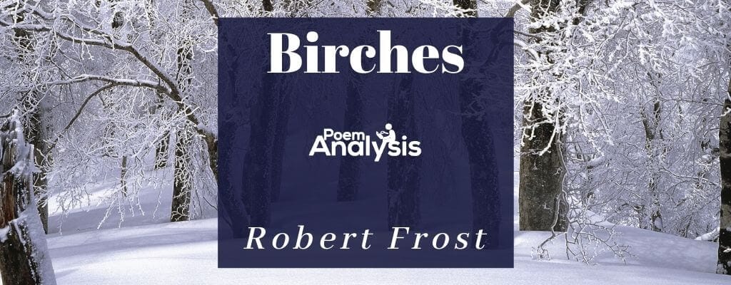Birches by Robert Frost - Poem Analysis