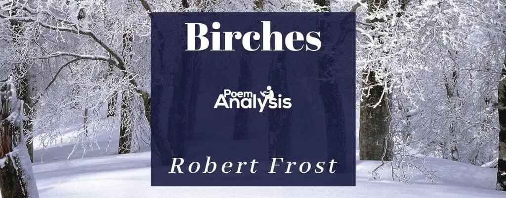 Understand Birches by Robert Frost - Poem Analysis