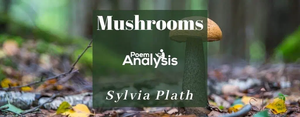 Mushrooms by Sylvia Plath - Poem Analysis