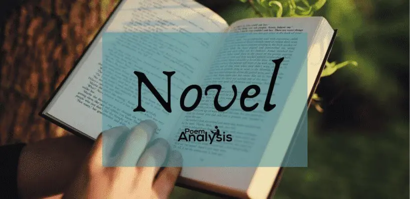 Novel Definition and Meaning- Poem Analysis