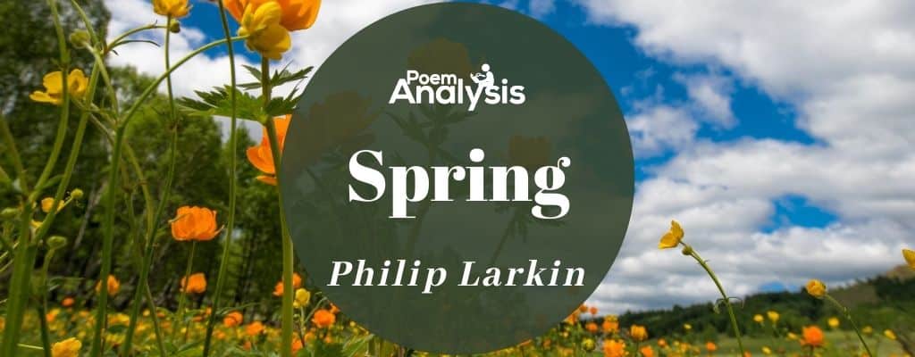 Spring by Philip Larkin - Poem Analysis