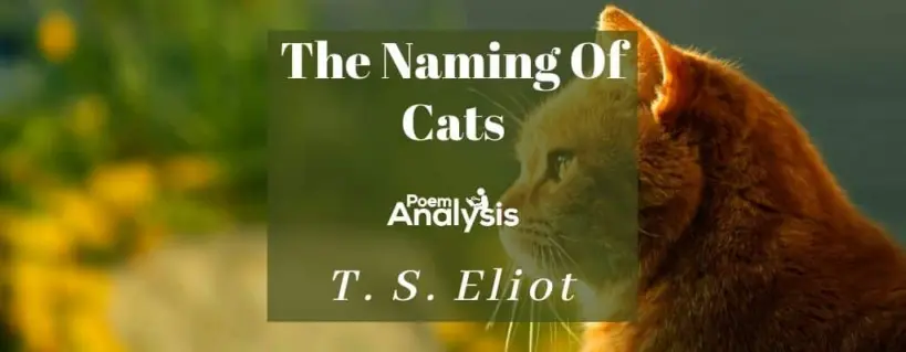 Understand The Naming Of Cats by T. S. Eliot - Poem Analysis