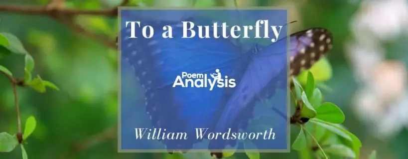 To a Butterfly by William Wordsworth - Poem Analysis