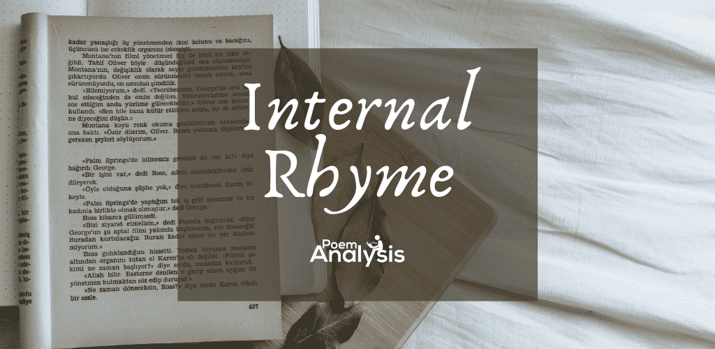 Internal Rhyme Definition and Examples - Poem Analysis