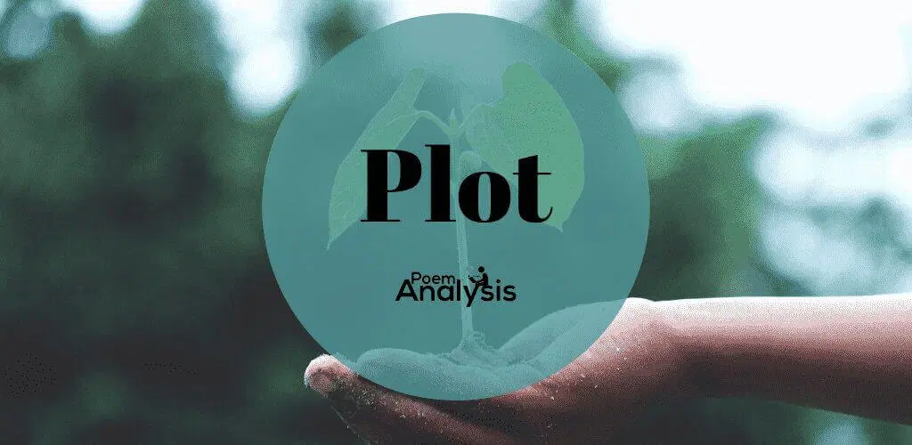 Plot Definition and Structure - Poem Analysis