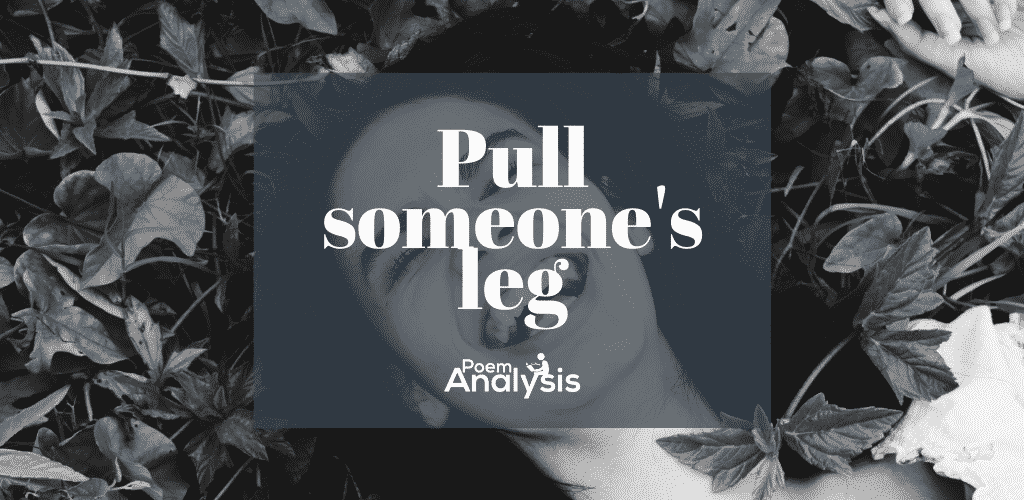 "Pulling my leg" meaning - Poem Analysis