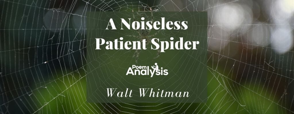 A Noiseless Patient Spider by Walt Whitman - Poem Analysis
