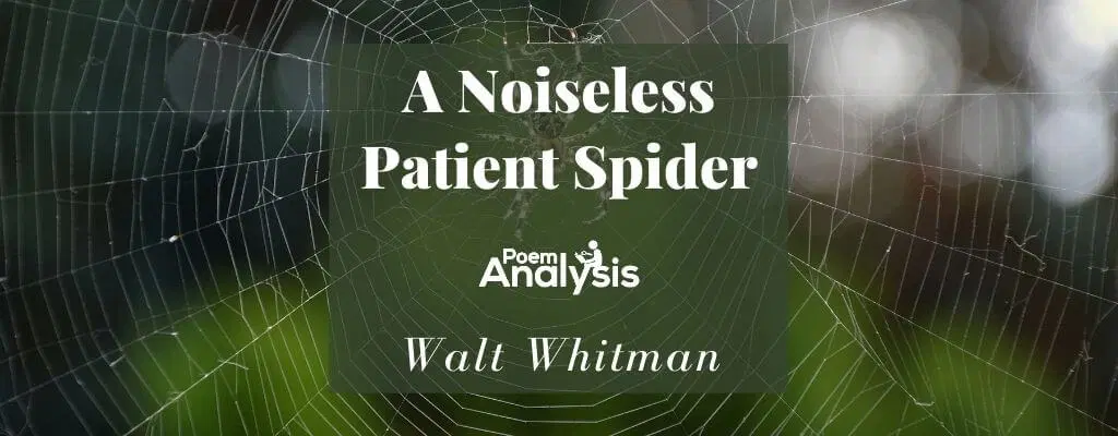 A Noiseless Patient Spider by Walt Whitman - Poem Analysis