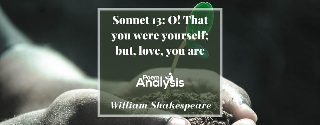Sonnet 13 by William Shakespeare (Poem Guide + PDFs)