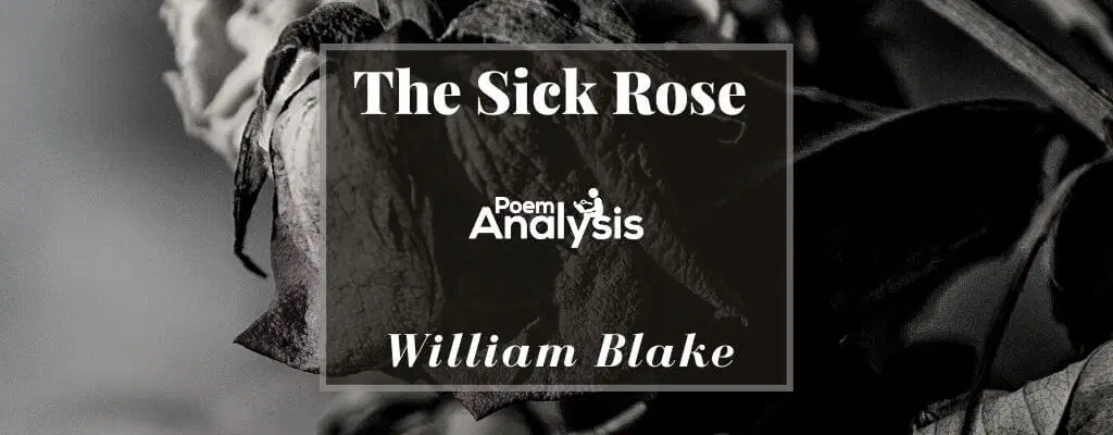 The Sick Rose by William Blake - Poem Analysis