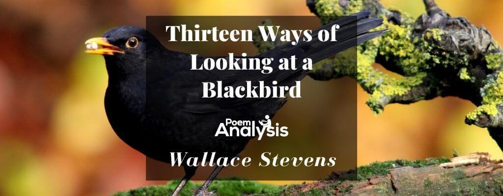 Thirteen Ways of Looking at a Blackbird by Wallace Stevens - Poem Analysis