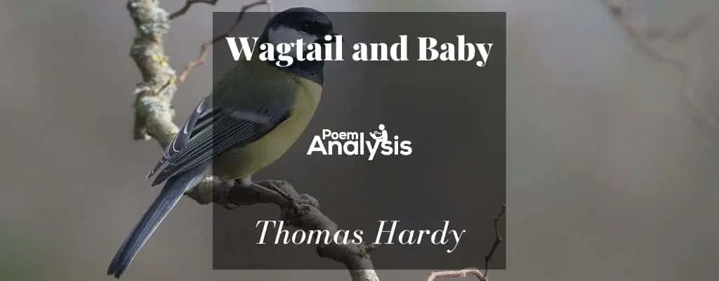 Wagtail and Baby by Thomas Hardy - Poem Analysis