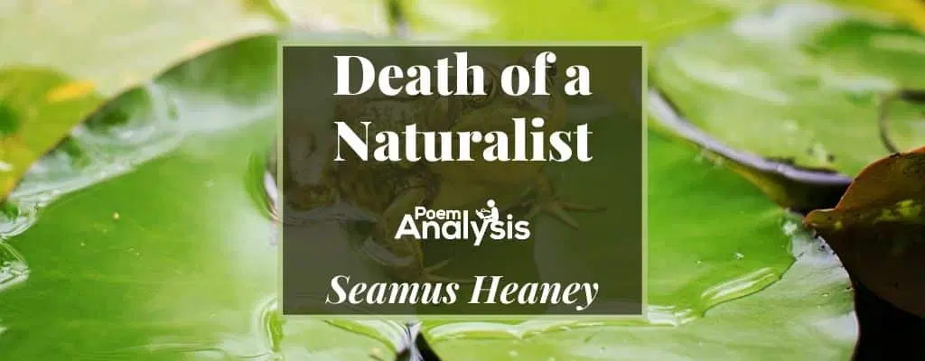 Death of a Naturalist by Seamus Heaney - Poem Analysis
