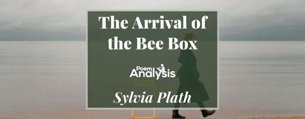 The Arrival of the Bee Box by Sylvia Plath - Poem Analysis
