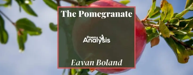 The Pomegranate by Eavan Boland - Poem Analysis