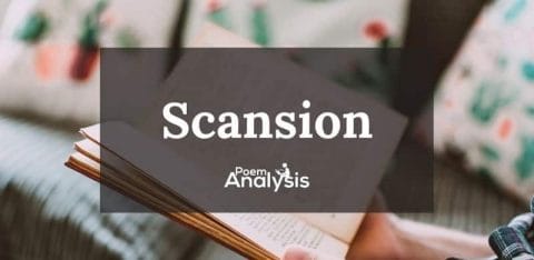 Scansion - Definition and Examples - Poem Analysis