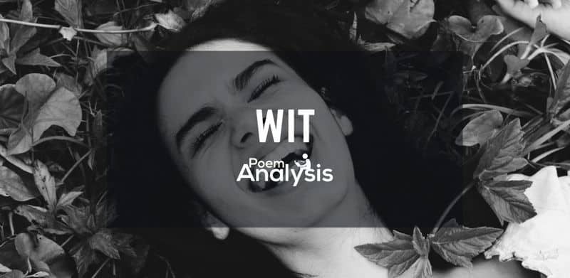 Wit - Definition and Examples - Poem Analysis