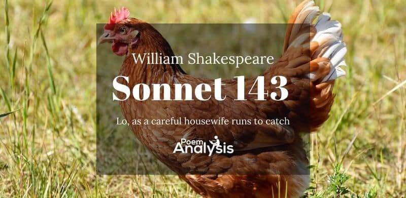 Sonnet 143 by William Shakespeare (Poem Guide + PDFs)